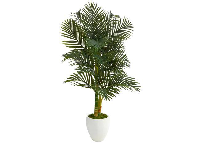 Click here for Nearly Natural 5 Paradise Palm Artificial Tree in... prices