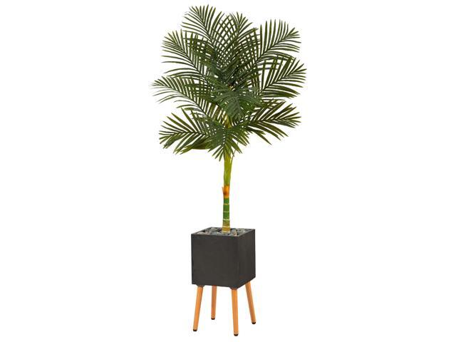 Click here for Nearly Natural 6 Golden Cane Palm Tree in Black Pl... prices