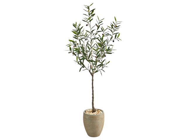 Click here for Nearly Natural 5.5 Olive Artificial Tree in Sand C... prices