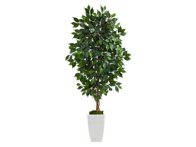 Click here for Nearly Natural 4.5 Ficus Artificial Tree in White... prices