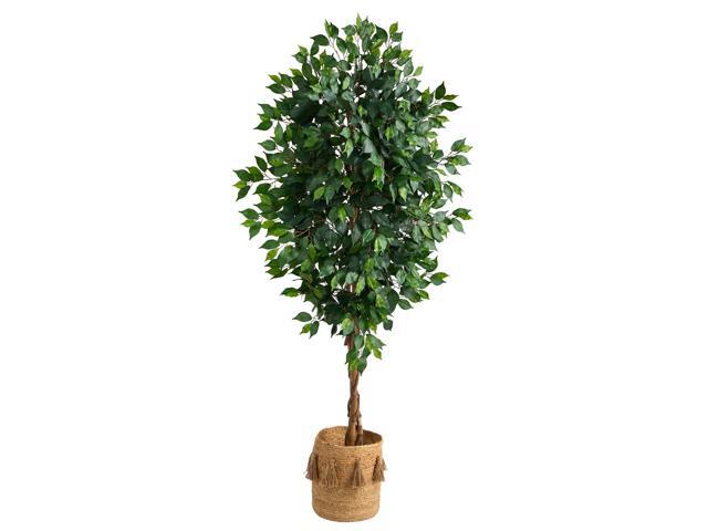 Click here for Nearly Natural 6 Ficus Artificial Tree in Natural... prices
