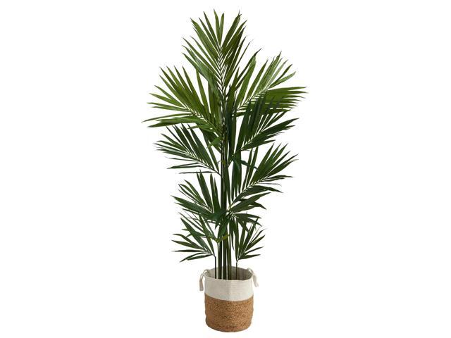 Click here for Nearly Natural 7 Kentia Palm in Handmade Natural J... prices
