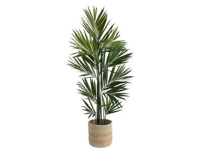 Click here for Nearly Natural 7 Kentia Palm in Handmade Natural C... prices