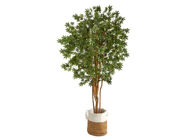 Click here for Nearly Natural 6 Japanese Maple Tree in Handmade N... prices