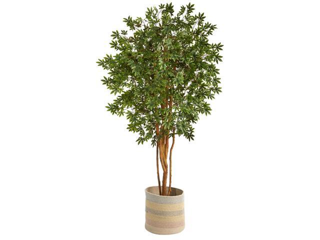 Click here for Nearly Natural 6 Japanese Maple Tree in Handmade N... prices