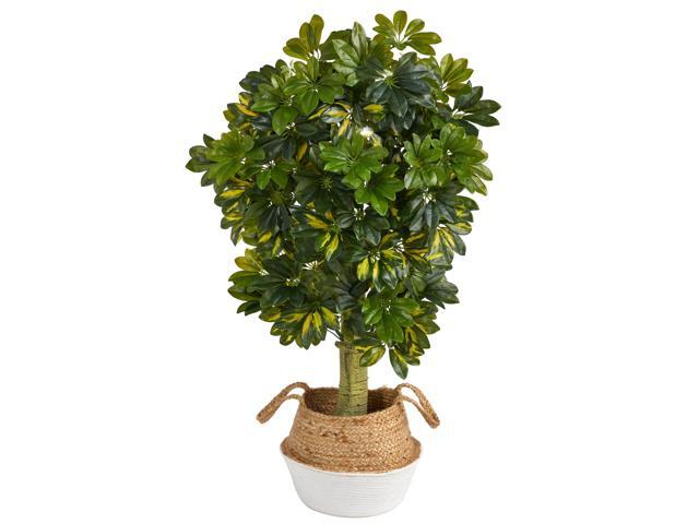 Click here for Nearly Natural 4 Schefflera Tree in Jute White Pla... prices