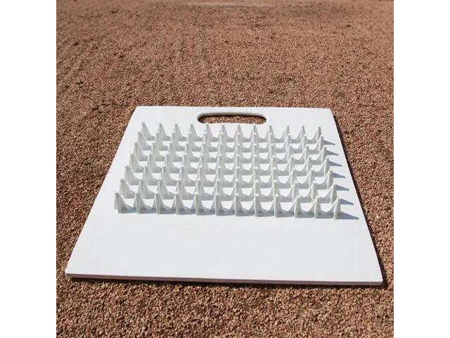 Click here for BSN Sports Cleat and Spike Cleaner prices