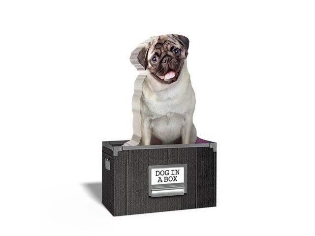 Click here for Dog in a Box prices