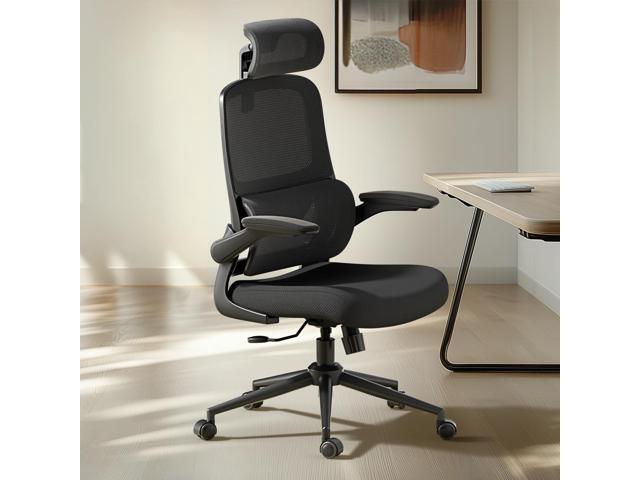 Click here for Hbada P1 Ergonomic Office Chair  High Back Desk Ch... prices