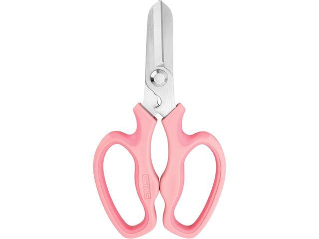 Click here for CYRUS Garden Shears Pruner Secateurs 7.5 Pruning S... prices