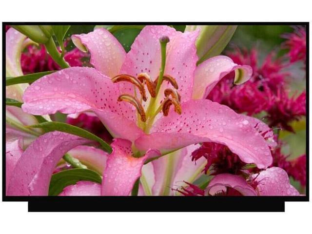 Click here for NUOLAISUN Compatible with B156HAN12.0 HW3B HW0B HW... prices