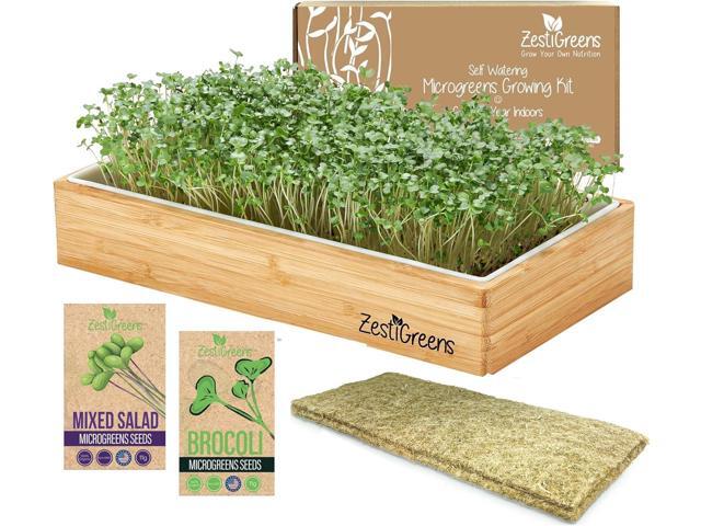 Click here for Microgreens Growing Kit Self Watering - Healthy Gi... prices