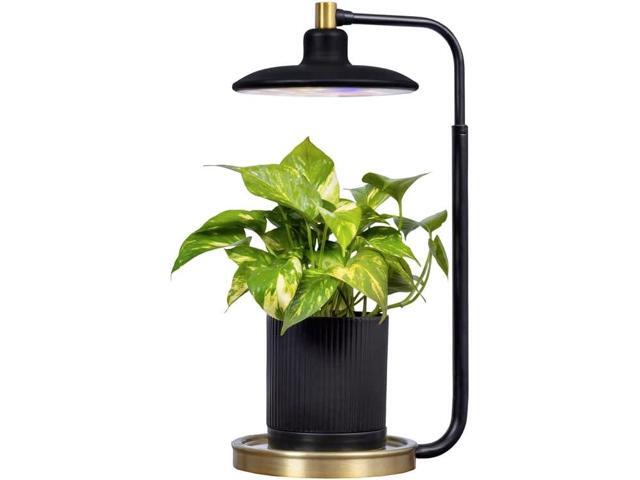 Click here for AeroGarden Tabletop Grow Light for Indoor Plants... prices