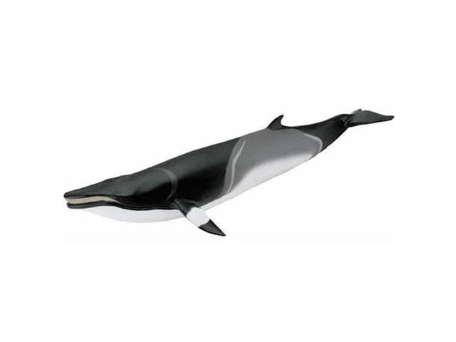 Click here for Minke Whale Animal Figure Safari Ltd 100413 prices