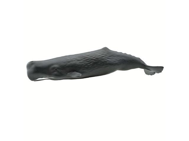 Click here for Sperm Whale Wild Safari Ocean Figure Safari Ltd 10... prices
