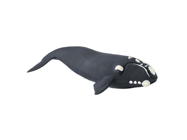 Click here for Right Whale Wild Safari Sea Figure Safari Ltd prices