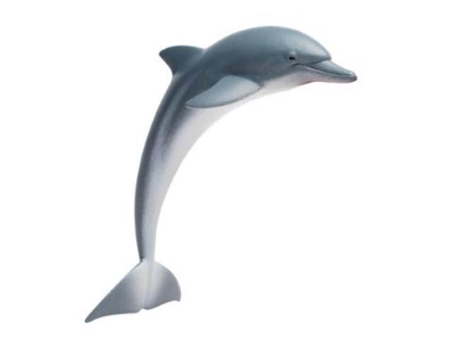 Click here for Dolphin Sea Life Safari Ltd prices