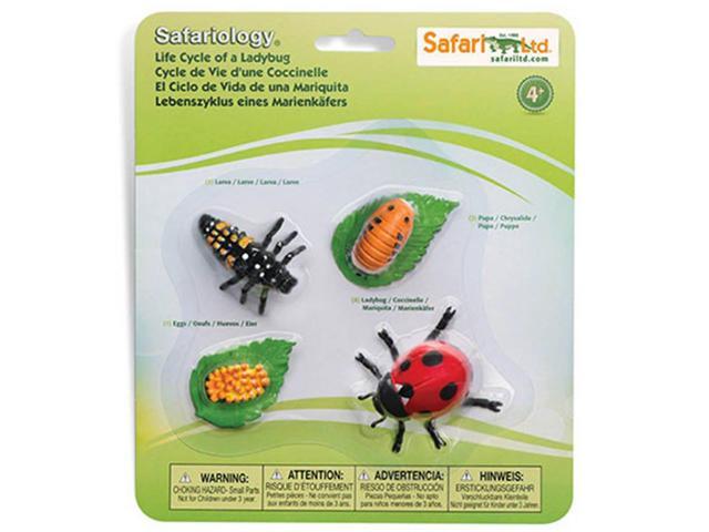 Click here for Life Cycle Of A Ladybug Figures Safari Ltd prices
