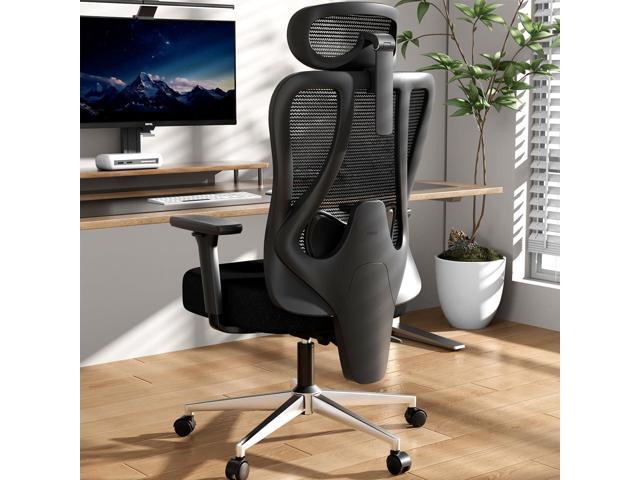 Click here for Hbada P3 Pro Ergonomic Office Chair with 2D Adjust... prices