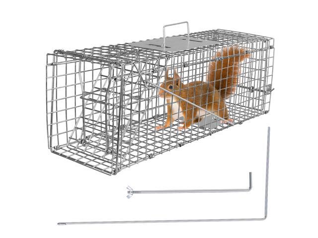 Click here for Fresh Fab Finds Humane Cat Trap Cage Collapsible G... prices