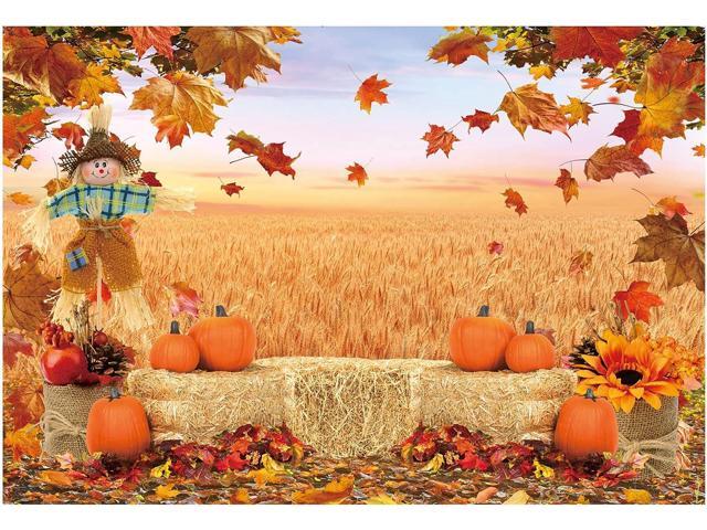 Click here for Funnytree 7X5FT Fall Backdrop Autumn Pumpkin Harve... prices