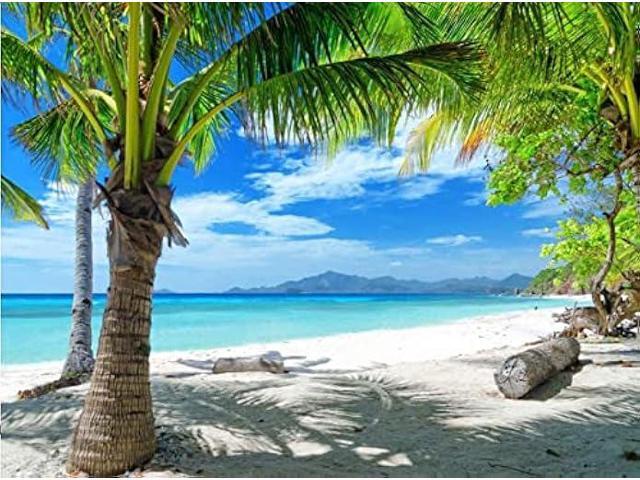 Click here for CYLYH 8X6FT Summer Tropical Sea Beach Backdrop Pho... prices