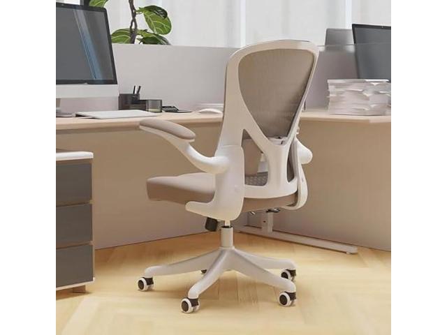 Click here for Ergonomic Office Chair with Adjustable Lumbar Supp... prices