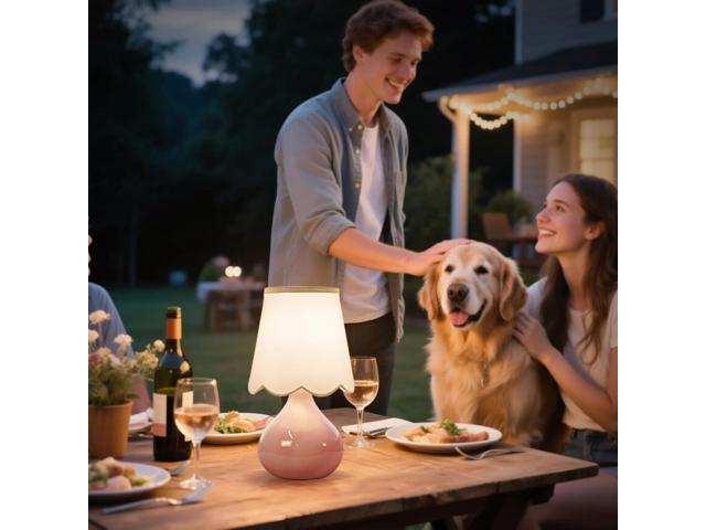 Click here for 14H Cordless LED Table Lamp with Dimmer  Ceramic B... prices