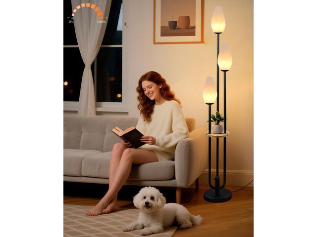 Click here for Lightdot Black Dimmable Floor Lamp with Table  63I... prices