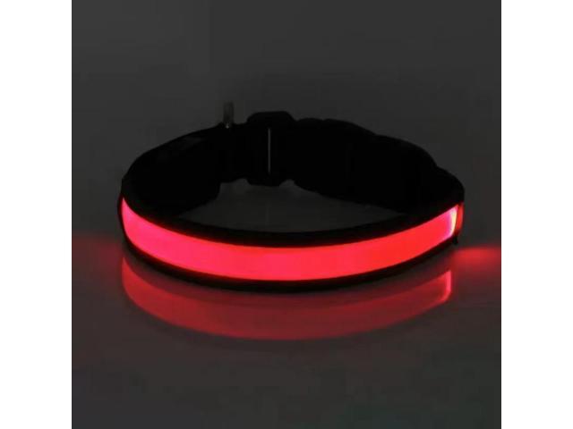 Click here for Solar & USB Rechargeable LED Lighting Dog Collar f... prices