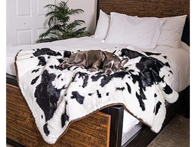 Click here for PAW BRANDS PupProtector Waterproof Dog Blanket - S... prices