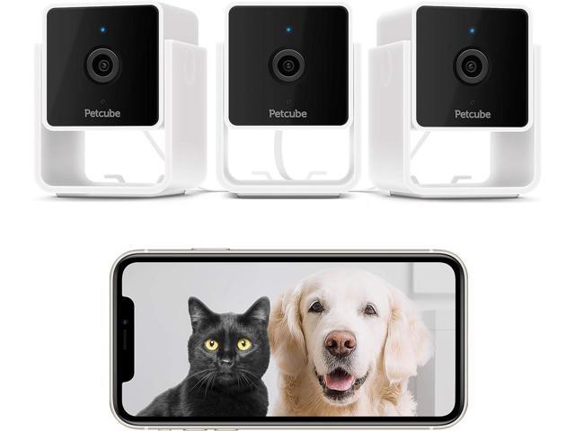 Click here for Petcube Cam The Pack of 3 Indoor Wi-Fi Pet and Sec... prices