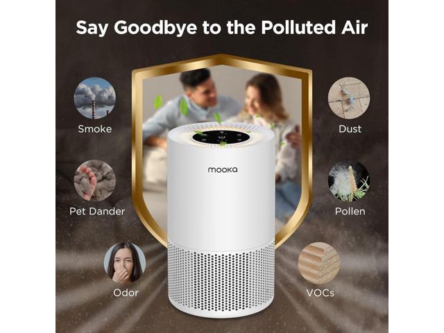 Click here for Air Purifiers for Home Large Rooms up to 1200ft²... prices