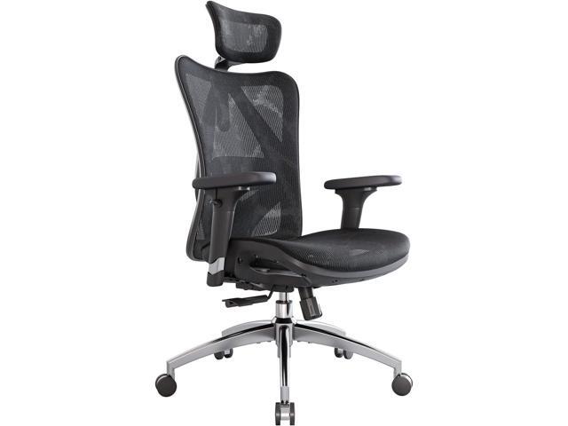 Click here for M57 Ergonomic Office Chair with 3 Way Armrests Lum... prices