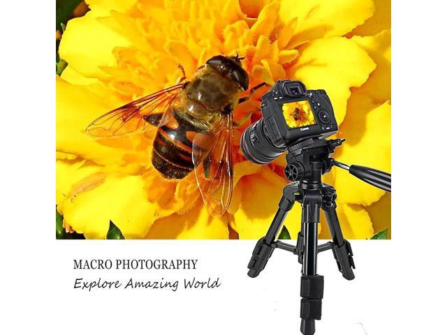 Click here for Mini Tripod for Camera Zomei Travel Table Tripod w... prices