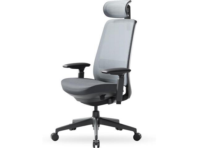 Click here for COLAMY Ergonomic Office Chair  High Back Computer... prices