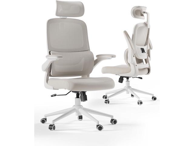 Click here for Hbada P1 Ergonomic Office Chair with 2D Lumbar Sup... prices