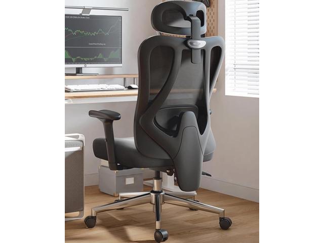 Click here for Hbada P3 Ergonnomic Office Chair with 2D Adjustabl... prices