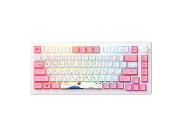 Click here for Akko Magnetic Switches Rapid Trigger Gaming Keyboa... prices