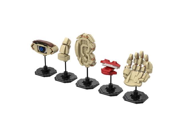 Click here for ZITIANYOUBUILD The Five Senses Educational for Sch... prices