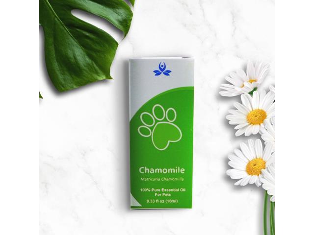 Click here for Pet Chamomile Essential Oil prices