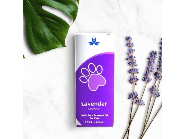 Click here for Pet Lavender Essential Oil prices