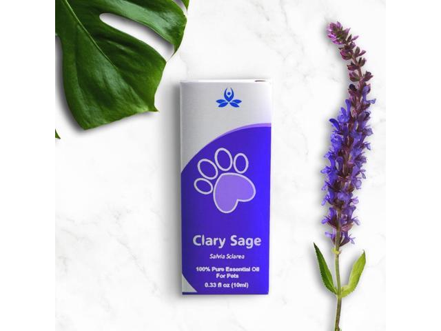Click here for Pet Clary Sage Essential Oil prices
