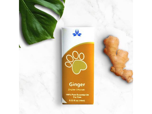 Click here for Pet Ginger Essential Oil prices