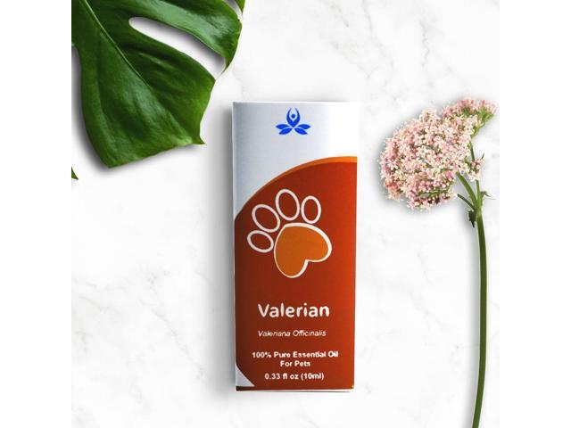 Click here for Pet Valerian Essential Oil prices