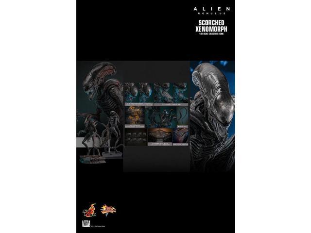 Click here for Figure Hot Toys MMS784 - Alien: Romulus - Scorched... prices