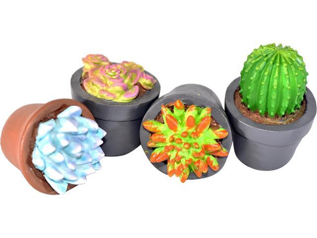 Click here for G & F Products 10062 Garden Miniature  Succulent prices