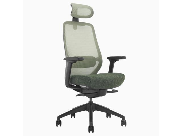 Click here for Desky Coilflex Ergonomic Office Chair - Green / He... prices