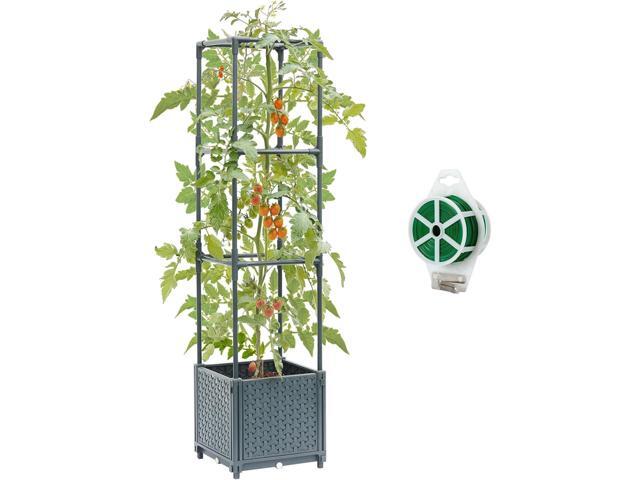 Click here for Raised Garden Bed with Tomato Planter Cage  Trelli... prices