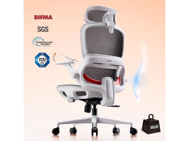Click here for SIHOO B100 Lite Desk Chair  Ergonomic Office Chair... prices